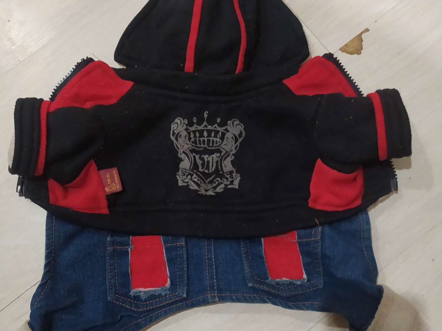 Костюм для маленькой собаки