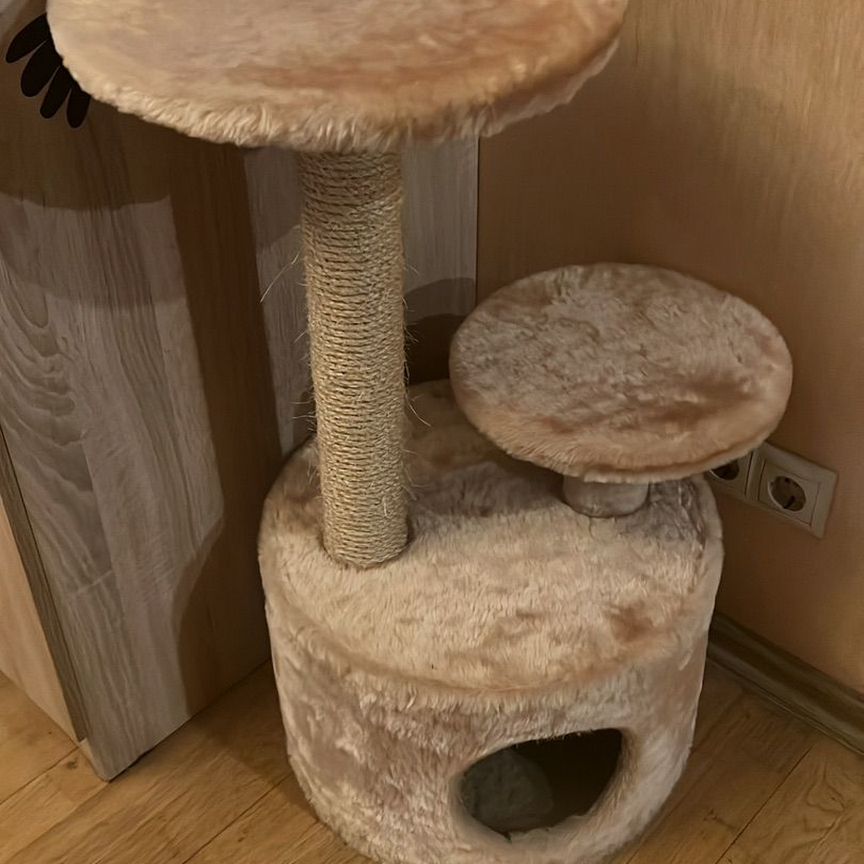 Когтеточка для кошек высокая