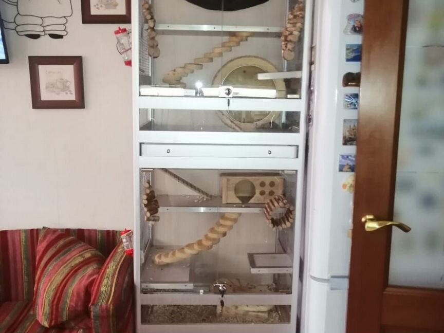 Витрина для грызунов