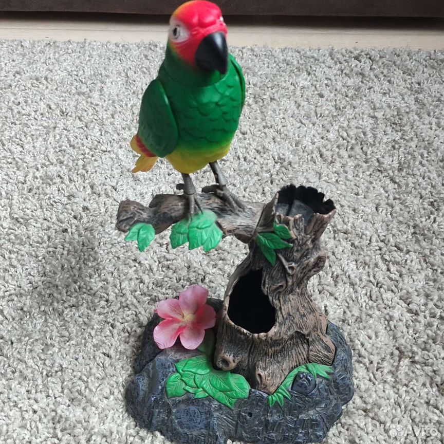 Попугай на ветке