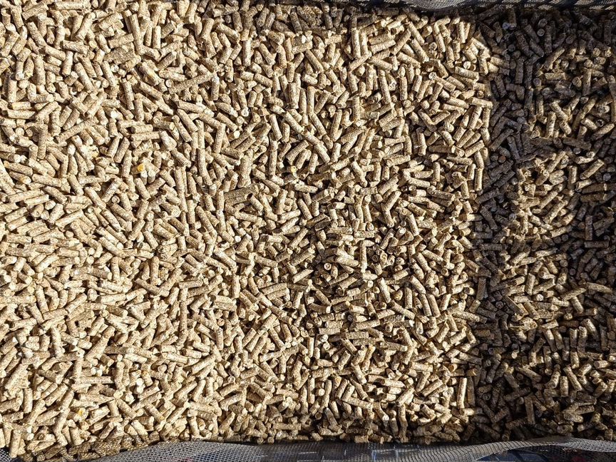 Комбикорм для взрослых кур несушек