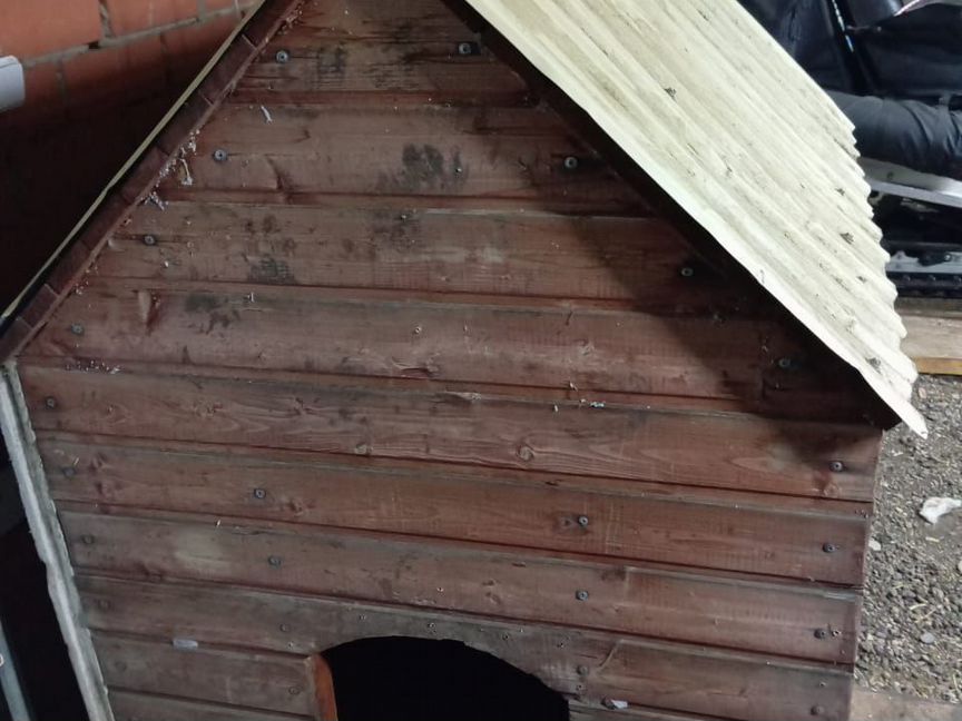 Будка, конура для собаки