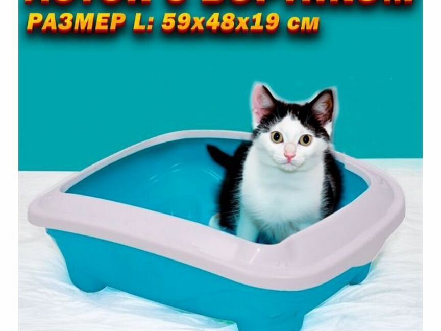 Лоток для Мейн-кунов