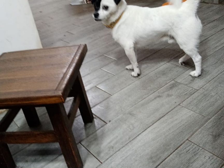 Маленький 5 кг