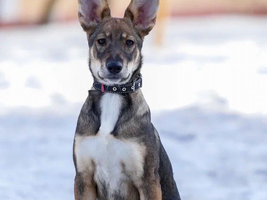Безрадостное детство Зайки