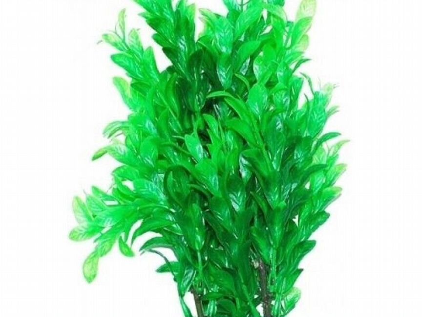 Уют вк405 Растение Людвигия зеленая 20см