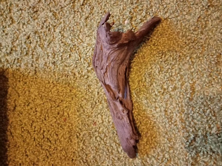 Коряга дрифтвуд