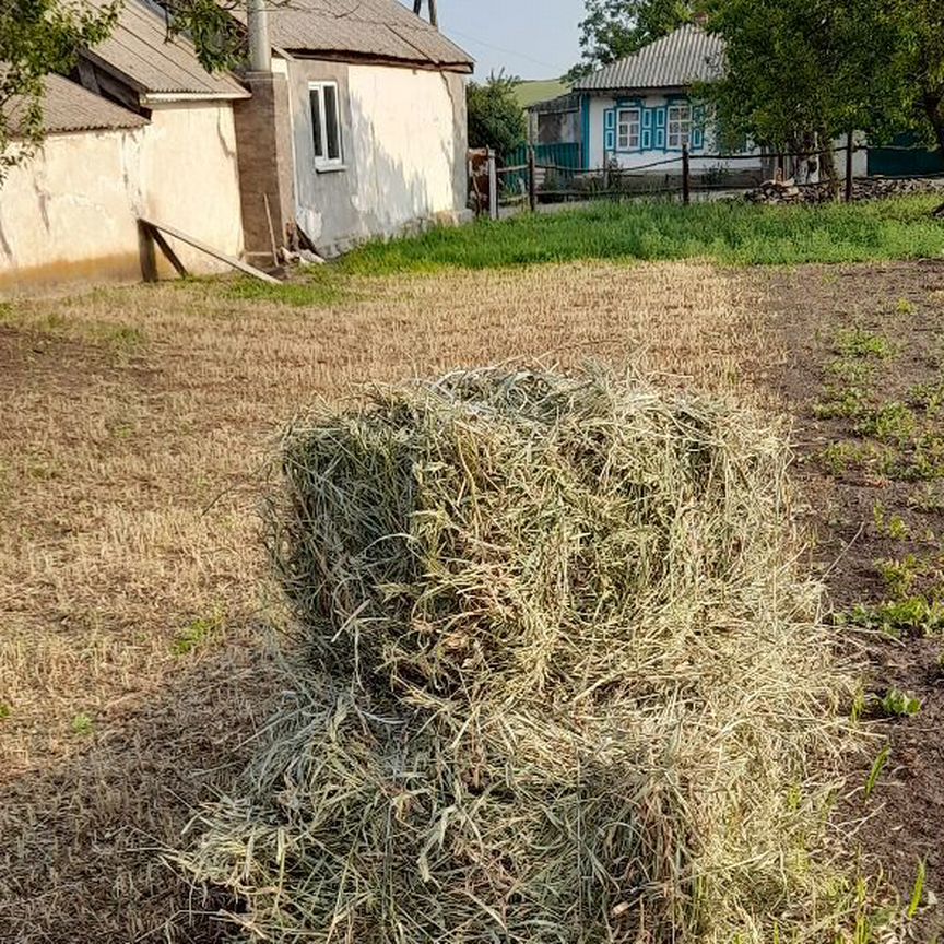 Сено в тюках