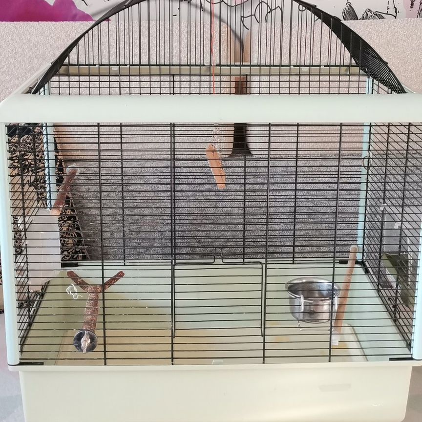 Клетка для среднего попугая