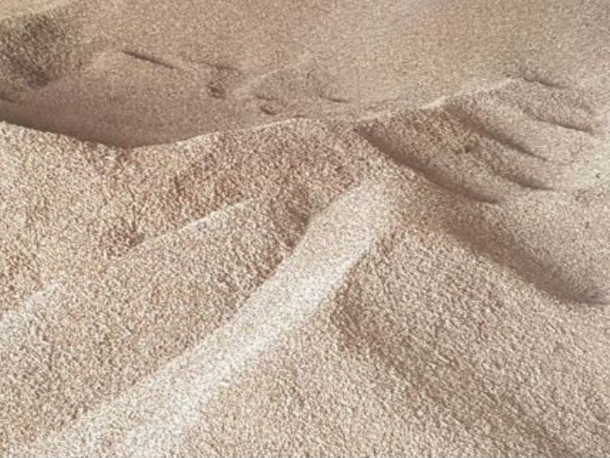 Пшеница дроблённая с документами на казахстан