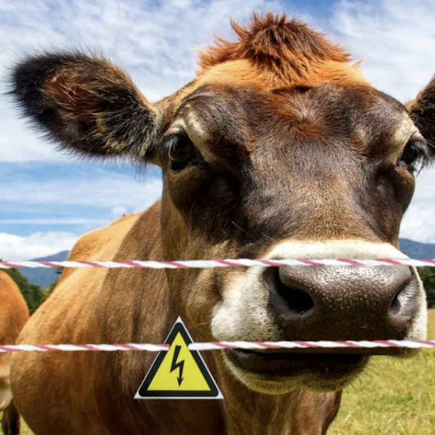 Электропастух