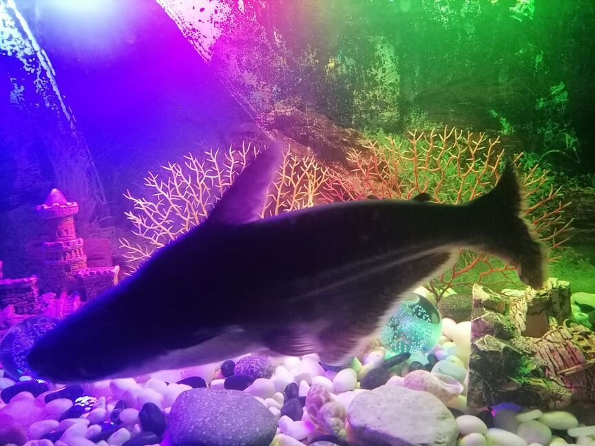 Украшение для аквариума