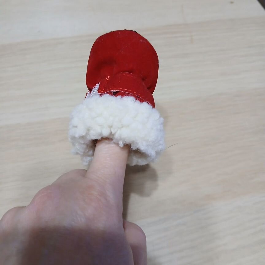 Обувь для собак мелких пород