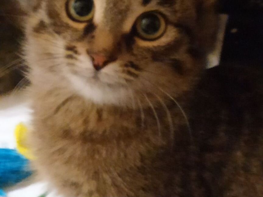 Мальчик Тишка