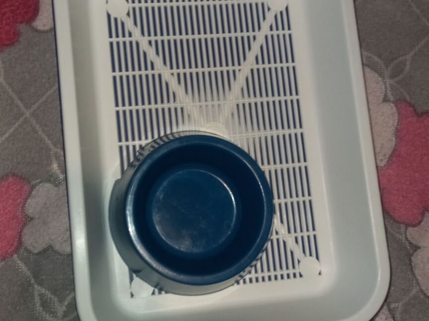 Лоток и миска для кошек