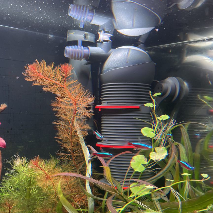 Eheim Biopower 240 фильтр для аквариума