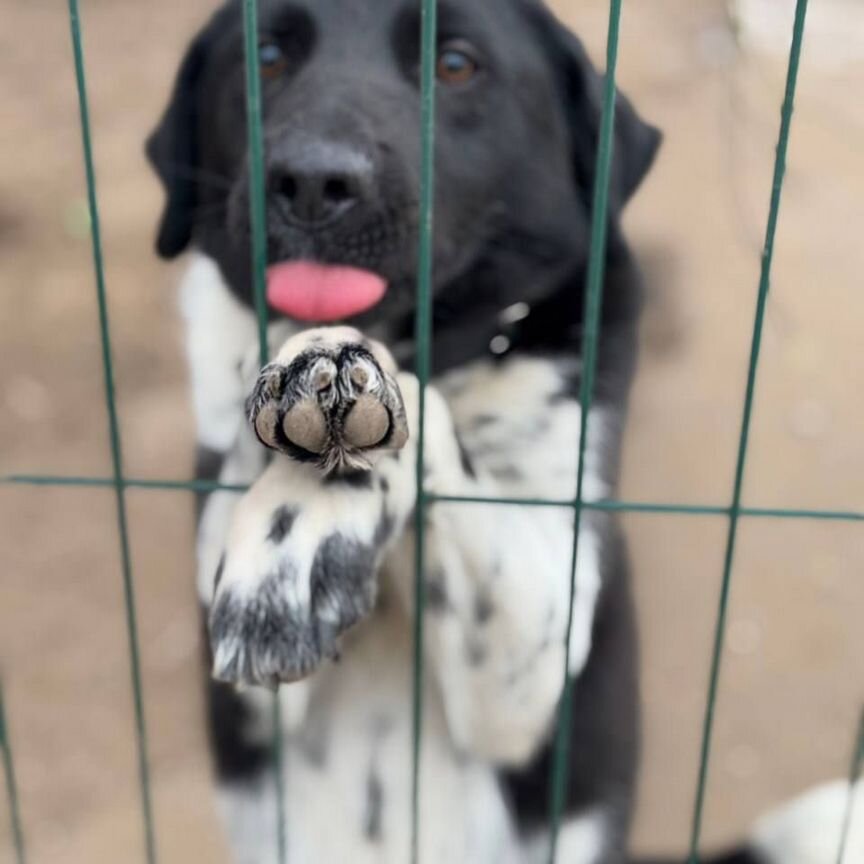 Красавчик Каен готов стать вам другом