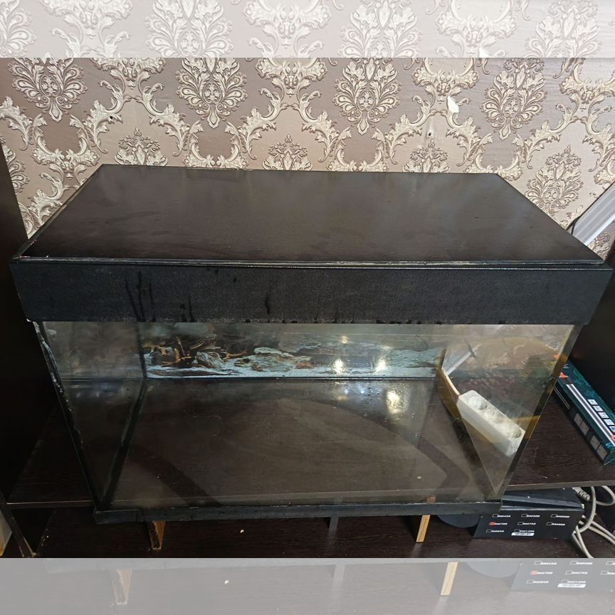 Аквариум