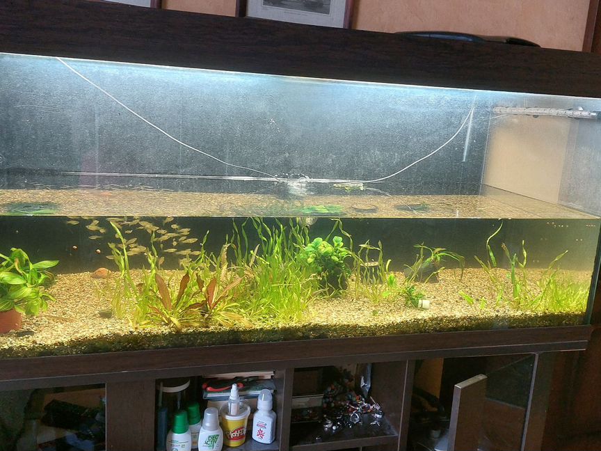 Аквариум с тумбой 450 литров