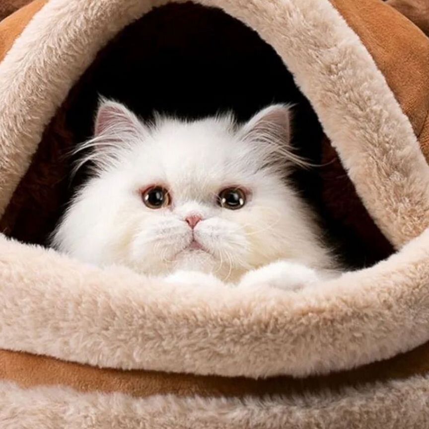 Переноска QQgift, зимняя
