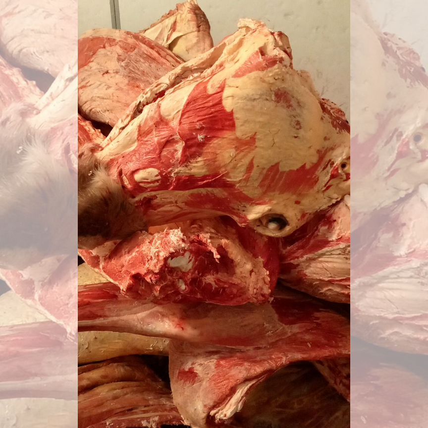 Говяжьи головы, жир говяжий