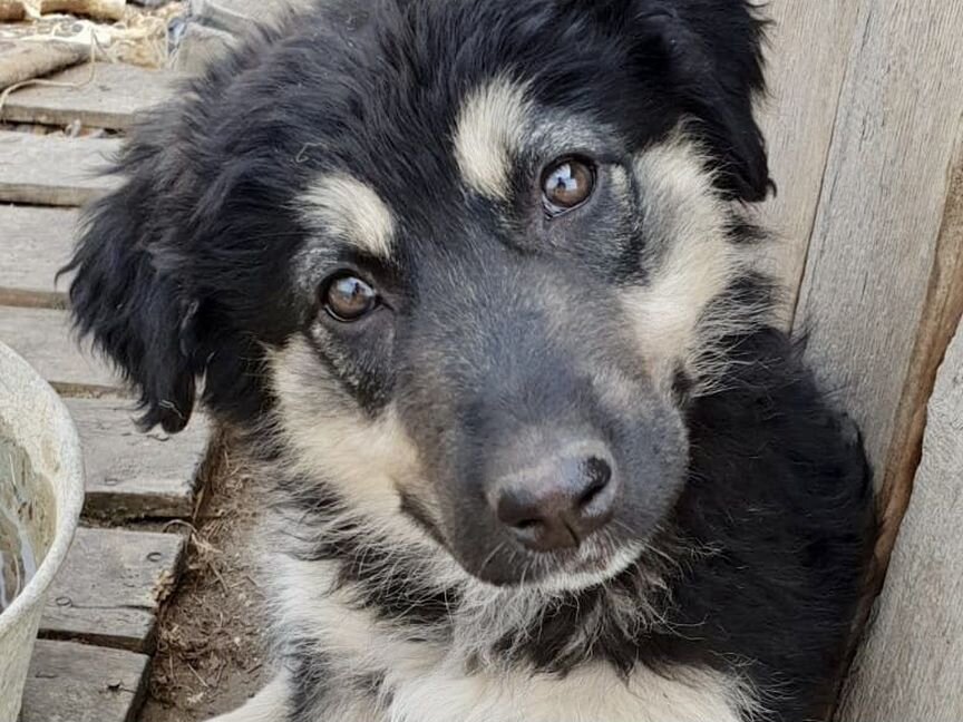 Ты за мной пришел