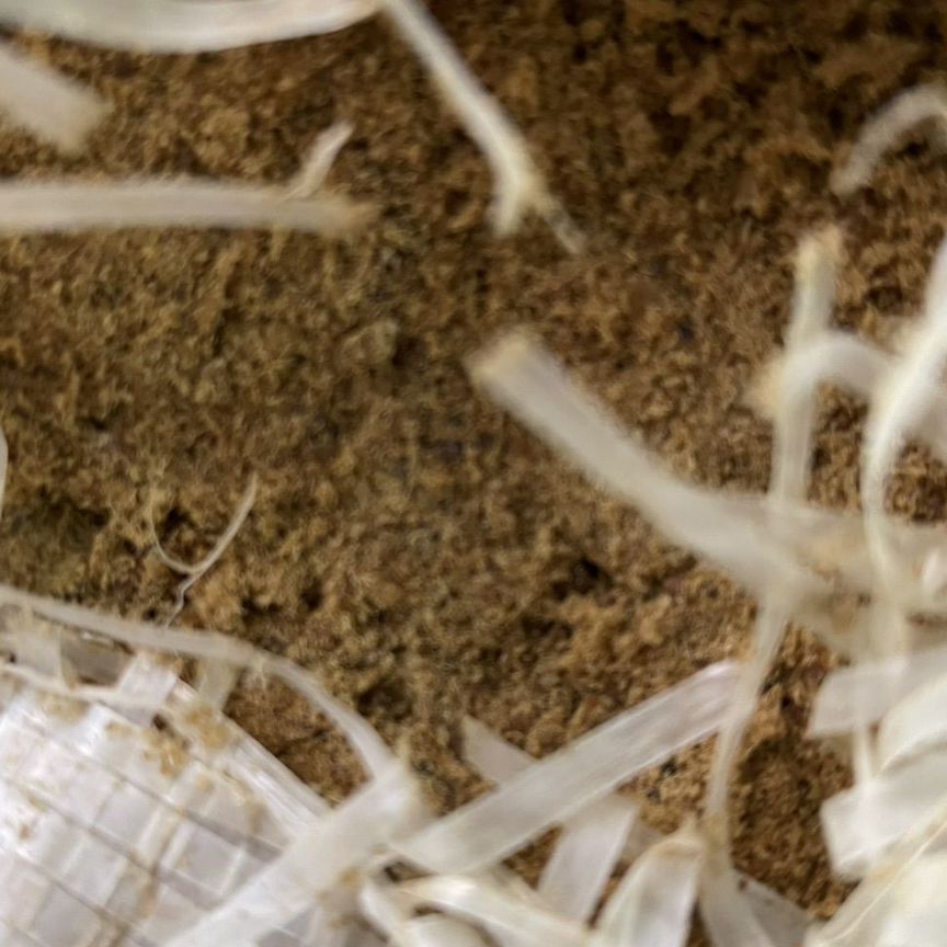 Мука мясокосная куриная