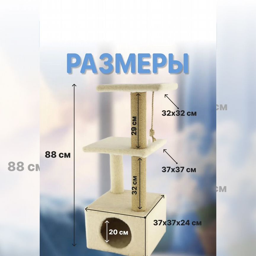 Когтеточка