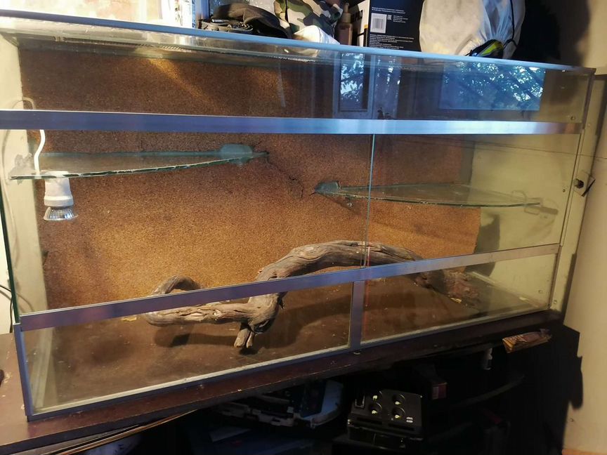 Террариум для рептилий бу