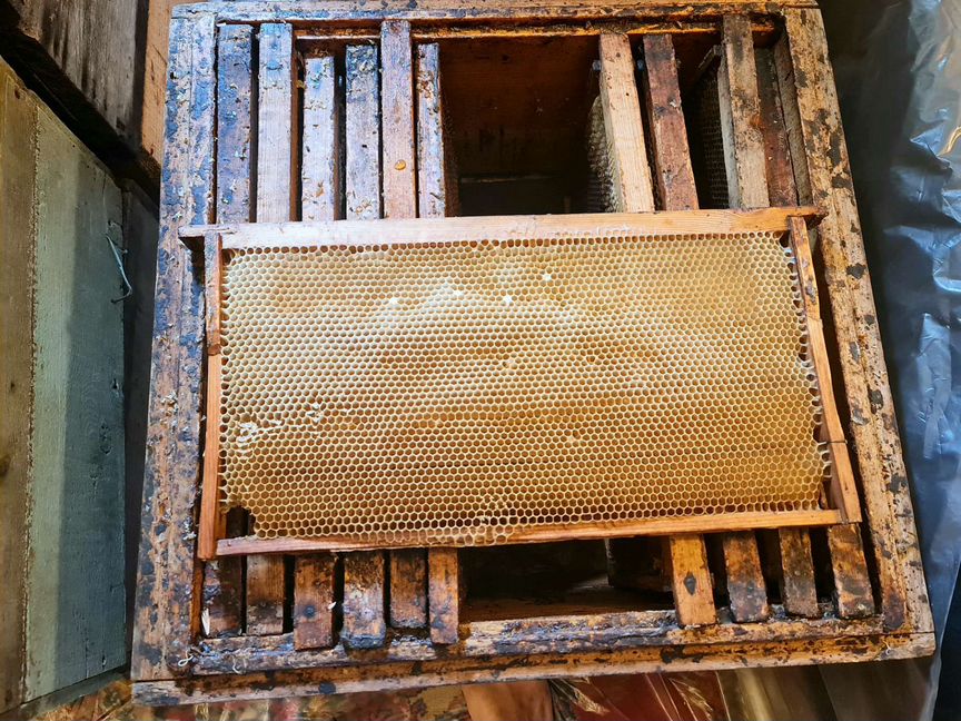 Рамки для ульев бу