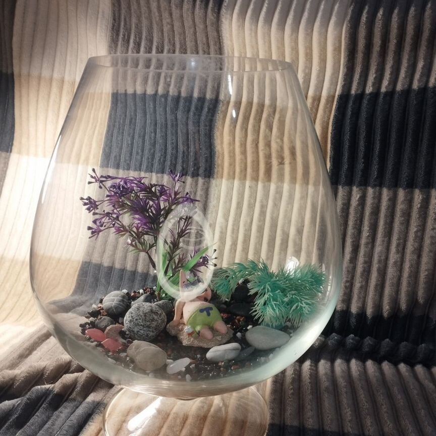 Аквариумные рыбки