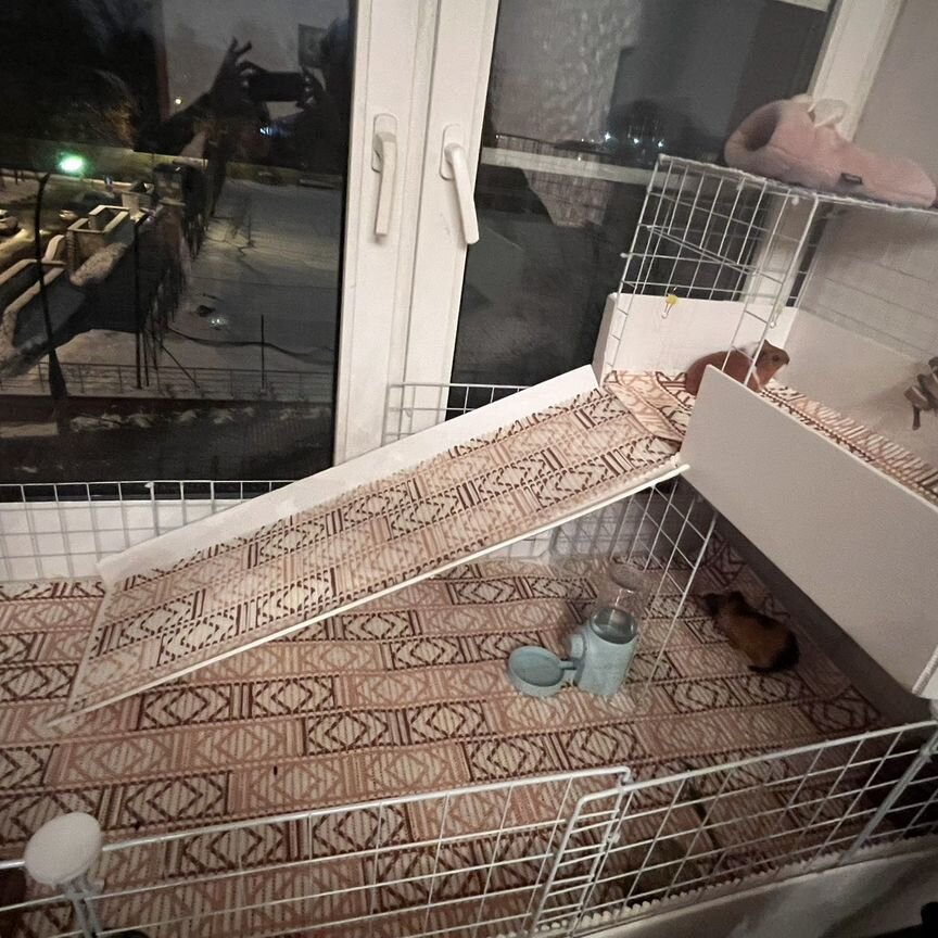 Клетка-вольер для грызуна