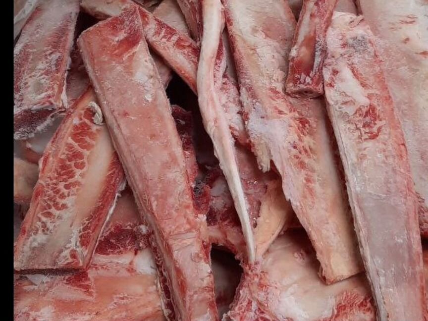 Кости говядина отходы пищевые