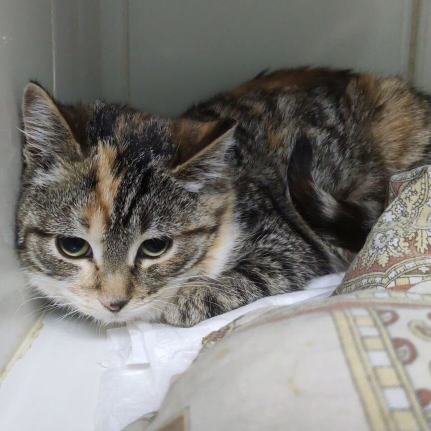 Маленькая плюшевая Юся хочет домой