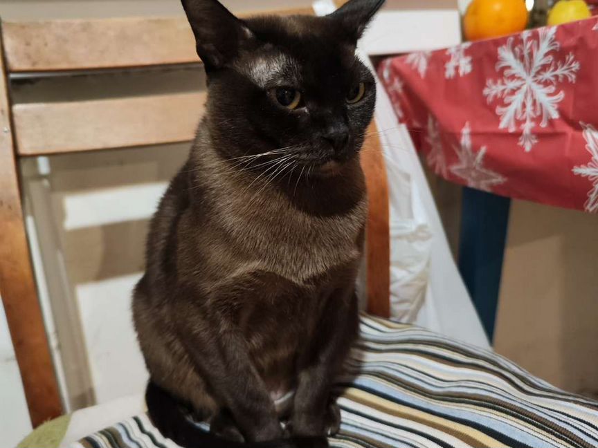 Бурманская