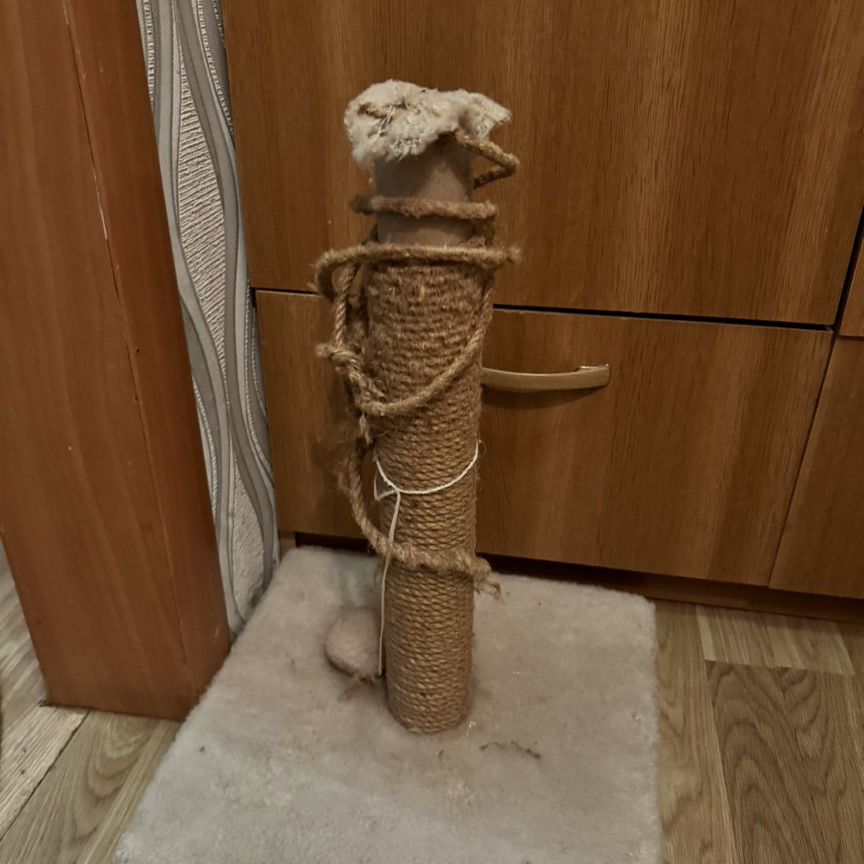 Когтеточка