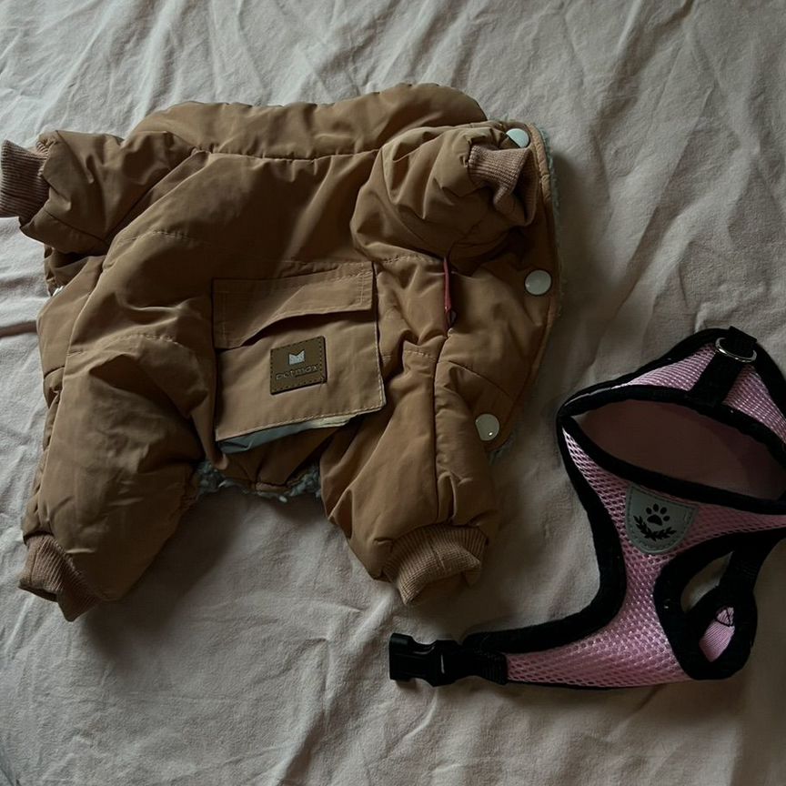 Костюм для собаки