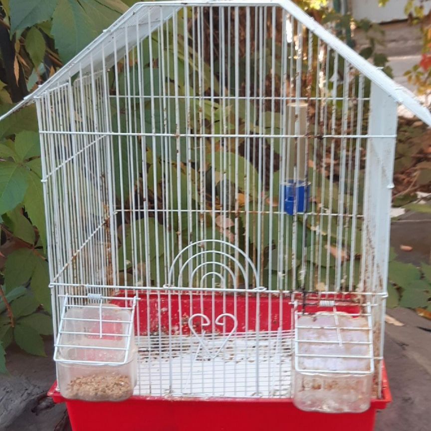 Аквариум с клеткой 30 на 30см