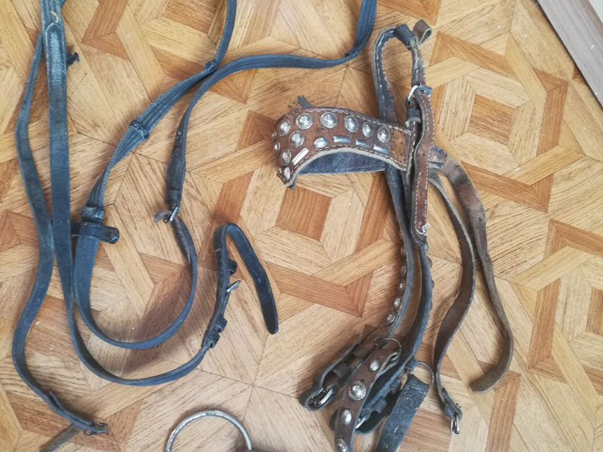 Уздечка с поводом