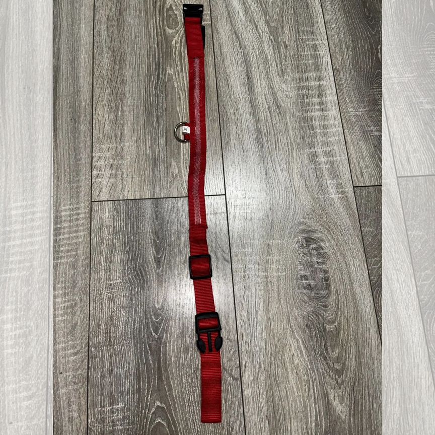 Ошейник для собак светящийся