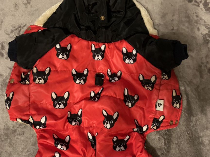 Б/У вещи от собаки (девочки) чихуахуа