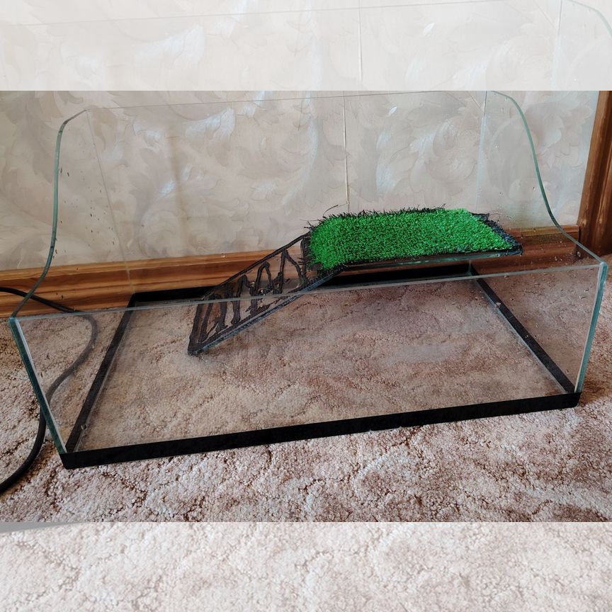 Террариум для красноухой черепахи