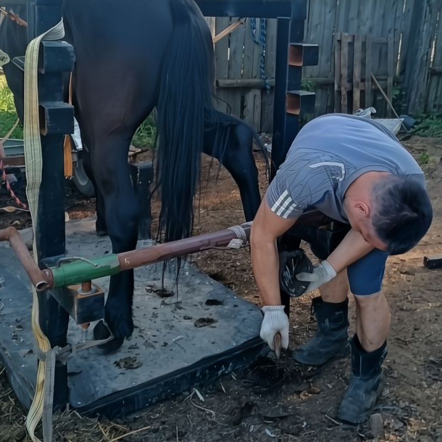 Станок для лошади