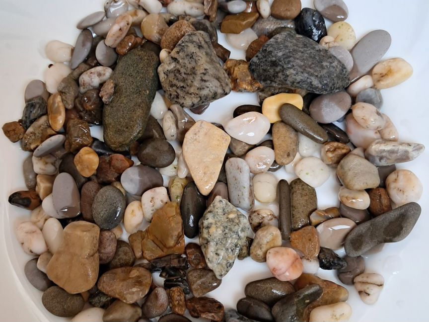 Грунт для аквариума,улитки-катушки