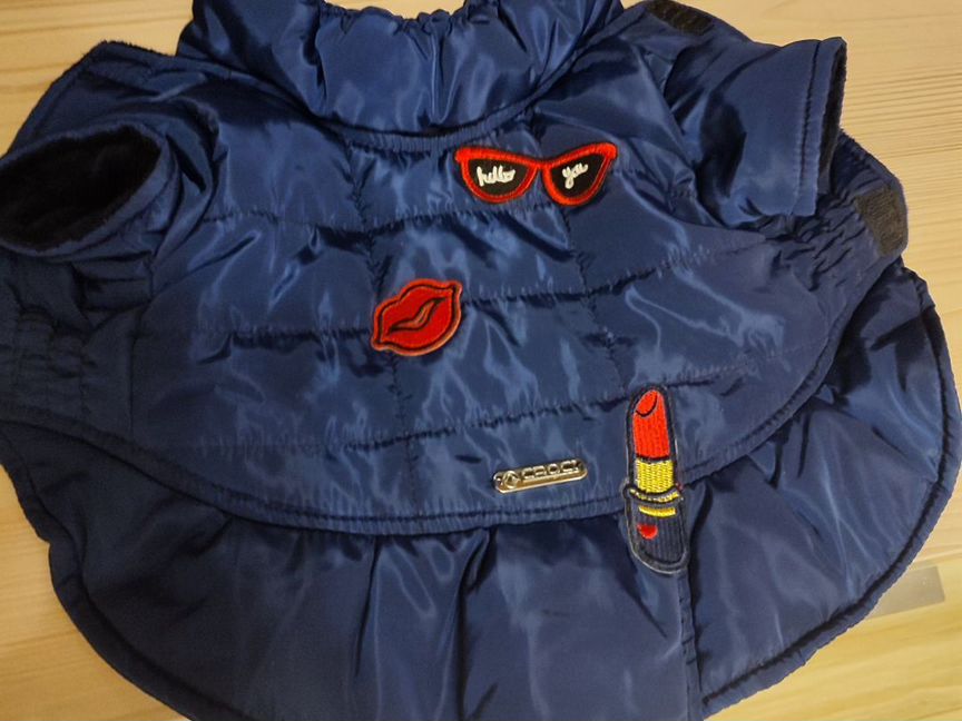 Костюм для маленькой собачки