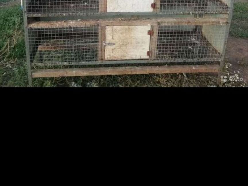 Клетка для кроликов и циплята