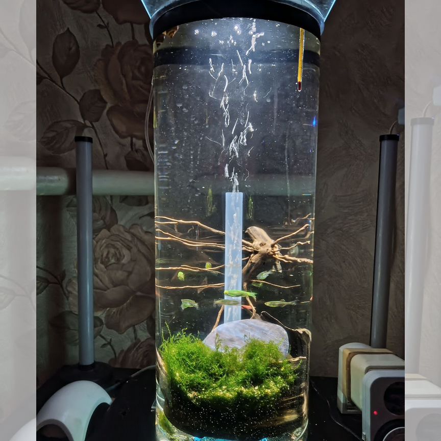 Продам действующий аквариум