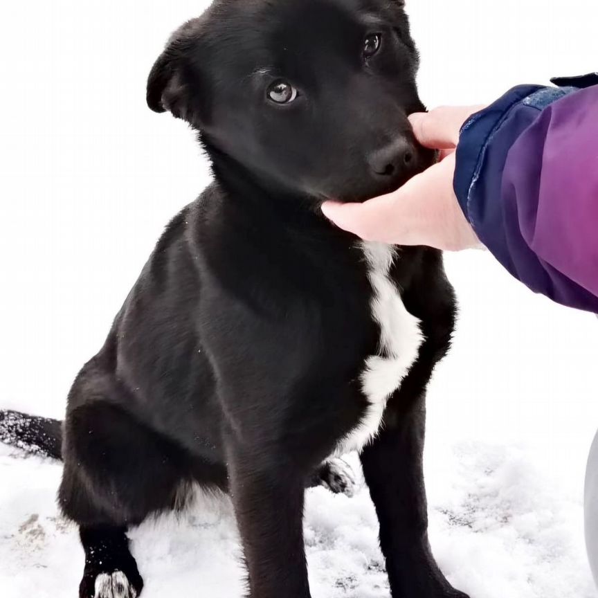 Малышка 3 мес