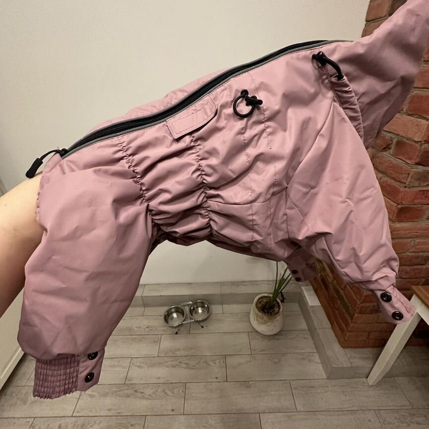 Комбинезон для собаки