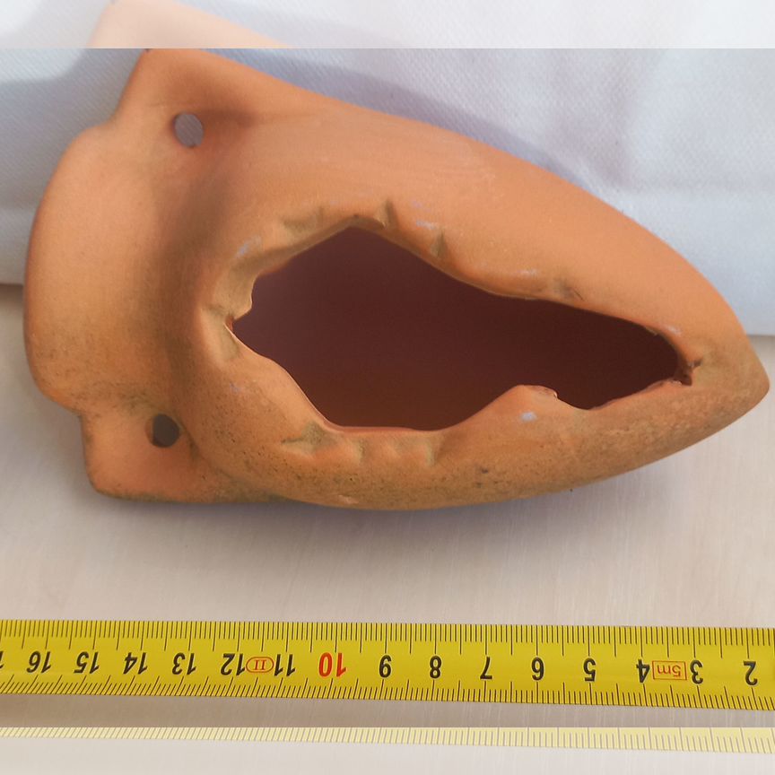 Ракушки в аквариум